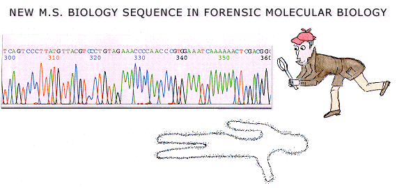 NEW M.S. BIOLOGY SEQUENCE IN FORENSIC MOLECULAR BIOLOGY