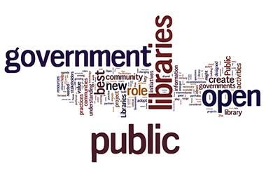 Center for Technology in Government publishes Enabling Open Government ...