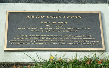 A Family Woman - University at Albany-SUNY