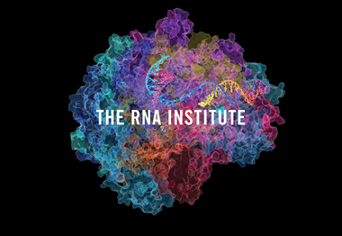 UAlbany’s RNA Institute to Host Symposium on RNA Science and Its ...
