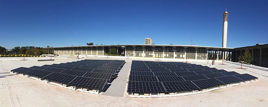 Let in the Light - University at Albany-SUNY