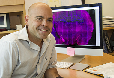 UAlbany Study: PTSD Can Develop Even Without Memory of the Trauma ...