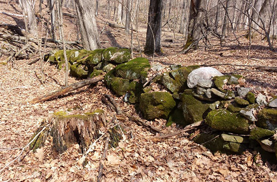 Stone Walls Reveal History of Earth’s Magnetic Wanderings - University ...