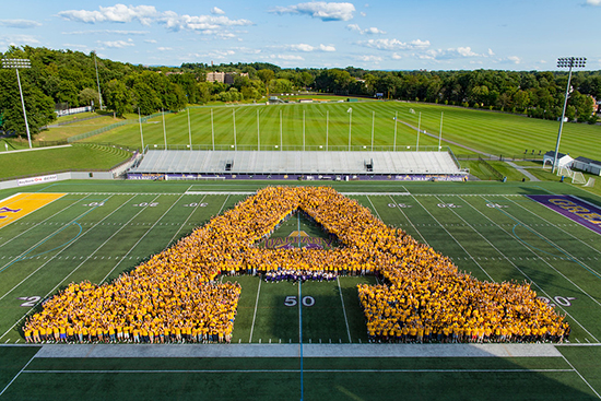 Introducing Our New Great Danes - University at Albany-SUNY