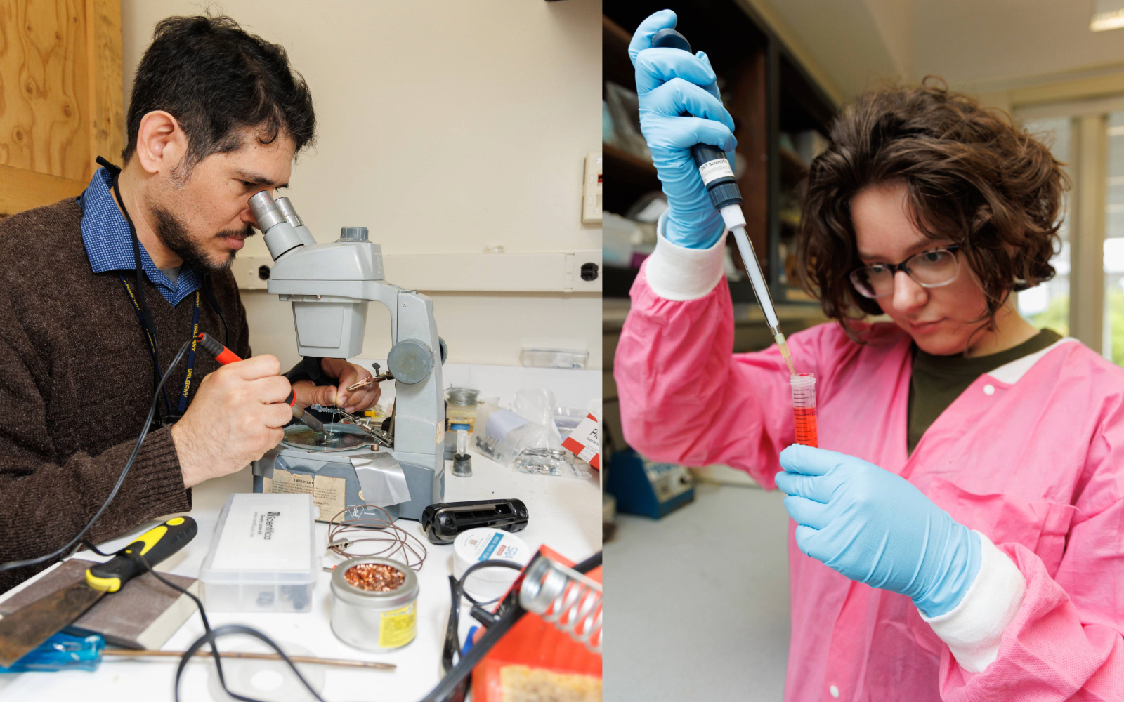 Scimemi Lab Explores Early Alzheimer’s Progression, how our Internal ...