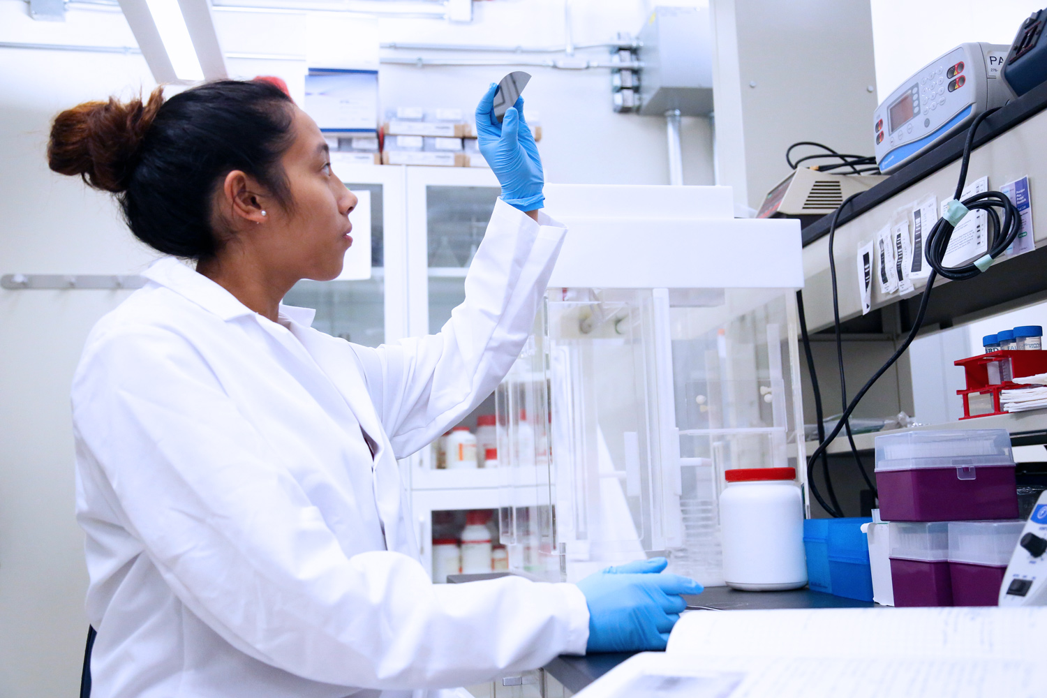 MS Nanobioscience | University at Albany