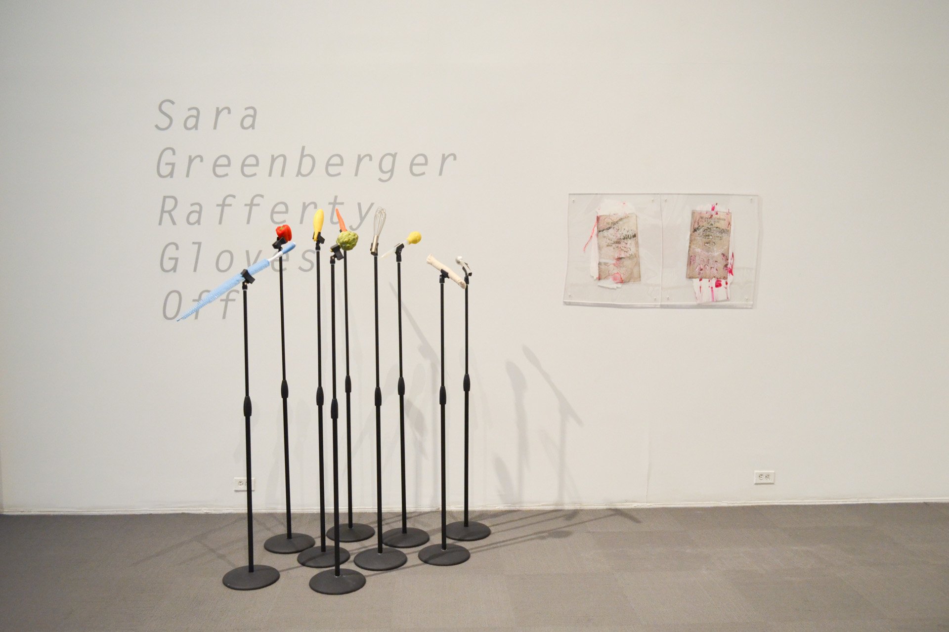 Sara Greenberger Rafferty: Gloves Off | University at Albany