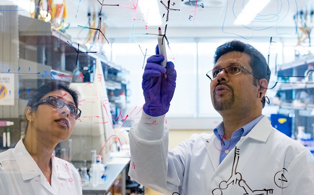 Stem Cell Biologist Explores a New RNA Code to Thwart Degenerative ...