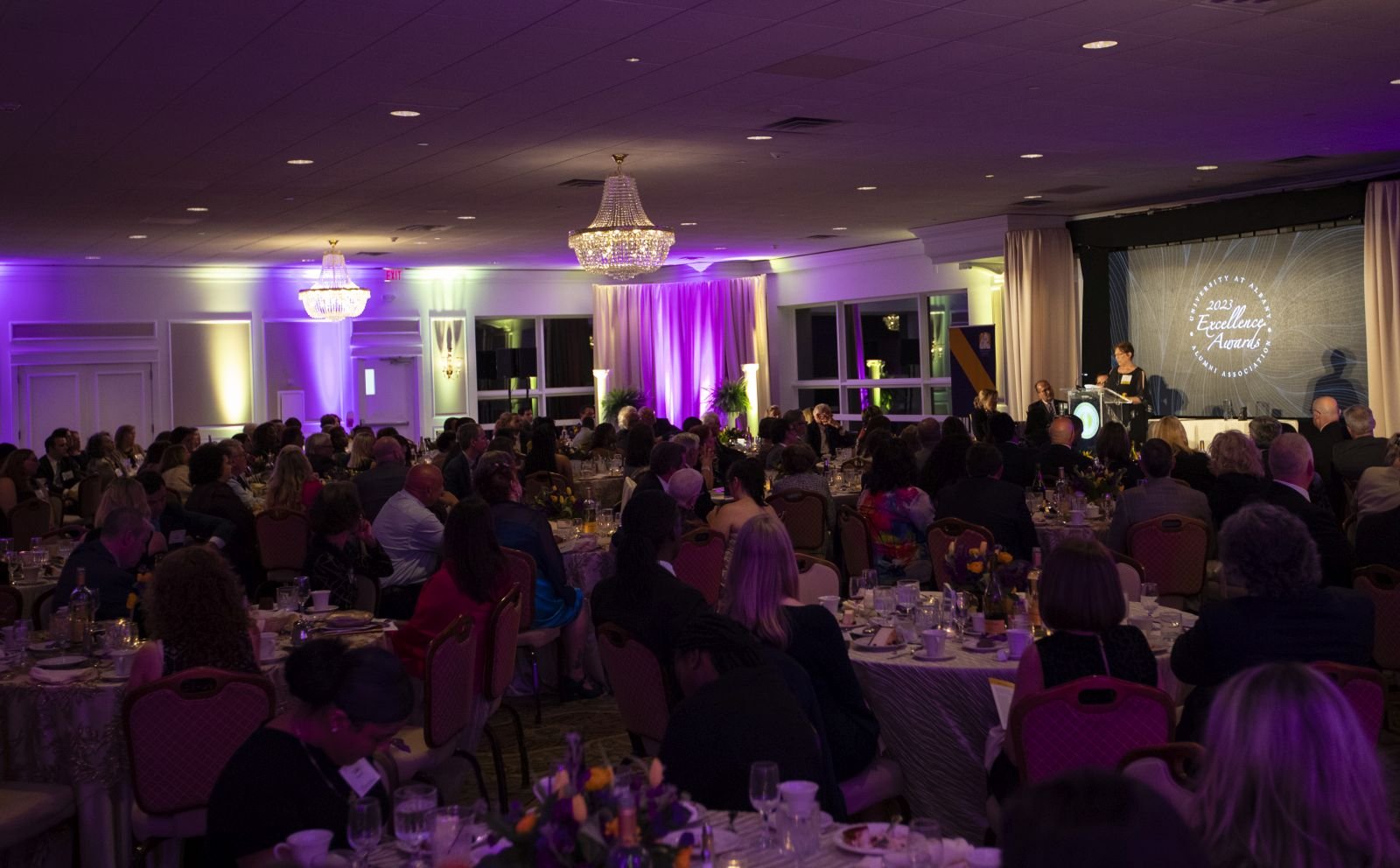 Alumni Excellence Honored at Awards Gala | University at Albany