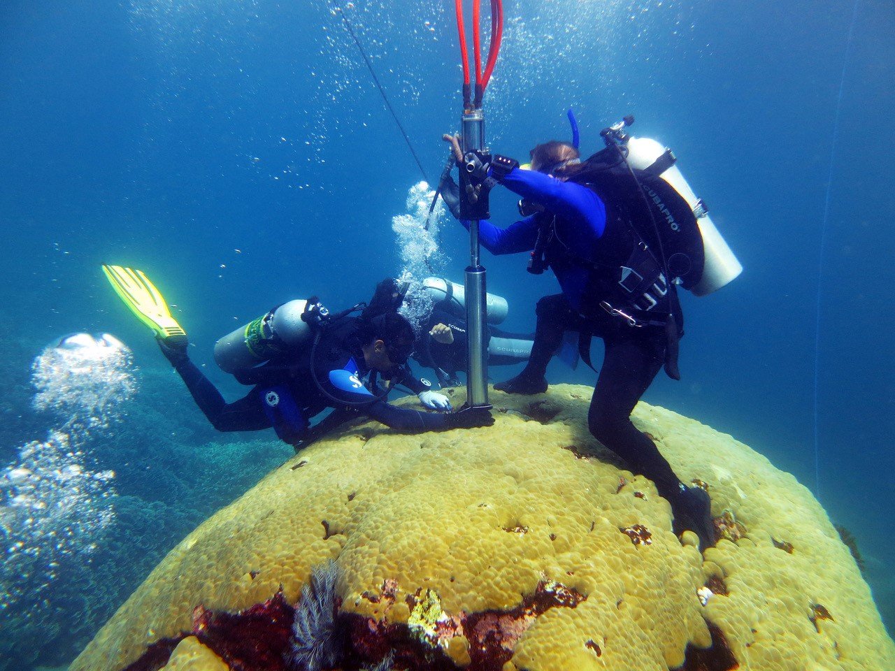 Paleoclimate Lab Researchers Use NSF Support to Study Climate Change ...