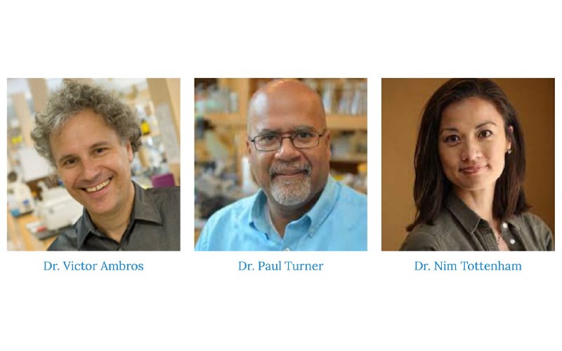 Life Sciences Research Symposium is November 21 | University at Albany