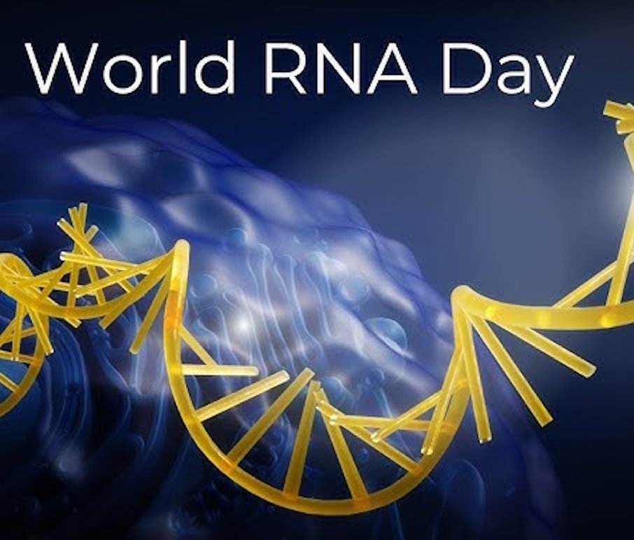 UAlbany RNA Institute Celebrates World RNA Day | University at Albany