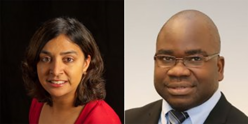 Two Economics Faculty Members Get Promoted | University at Albany