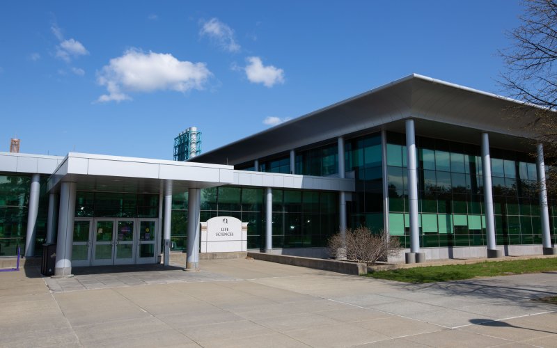 UAlbany Boosts Capital Region STEM Degree Awards Amid Pandemic ...