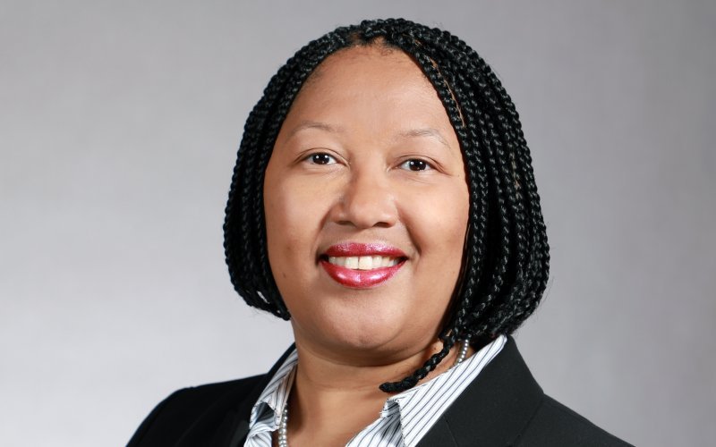 Janell Hobson Launches Month-long Project on Harriet Tubman ...