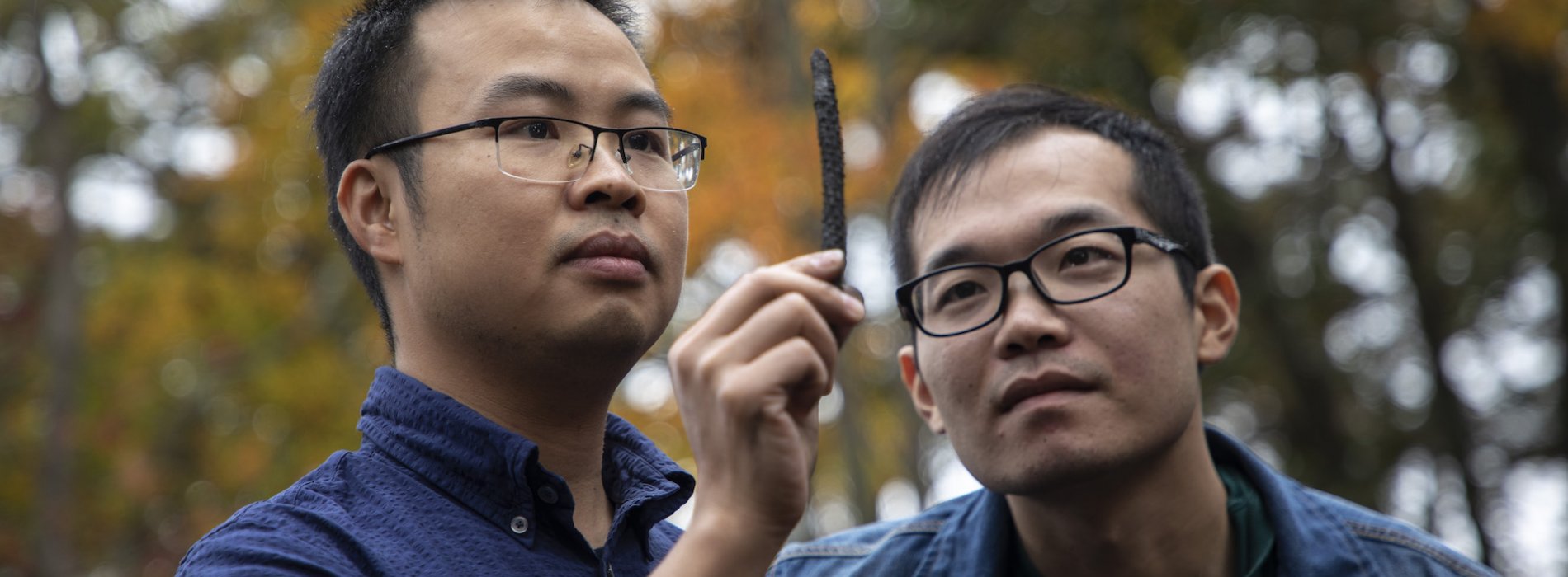 Studying how enzymes degrade charcoal from fires | University at Albany