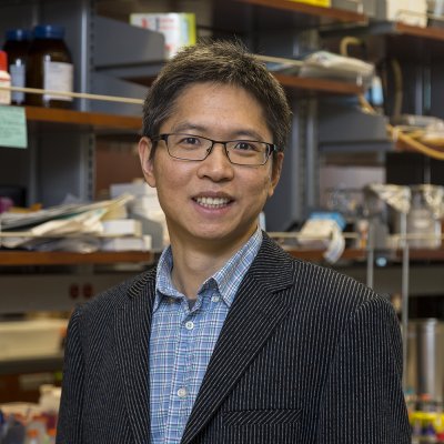 Jia Sheng | University at Albany