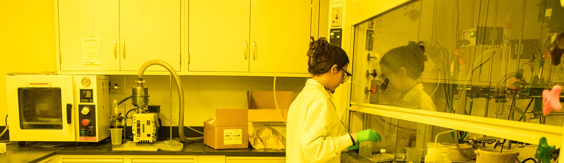 BS Nanoscale Engineering | University at Albany