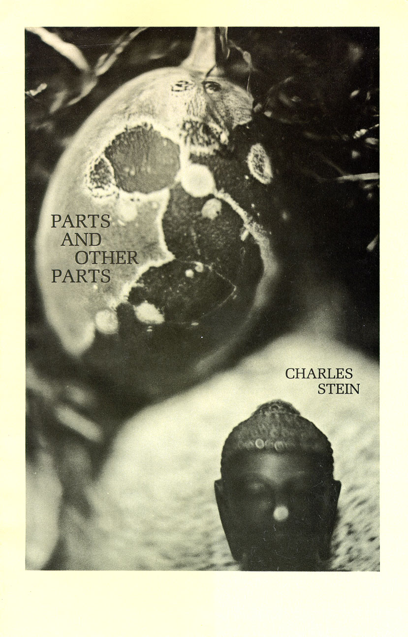 New York State Writers Institute - Charles Stein